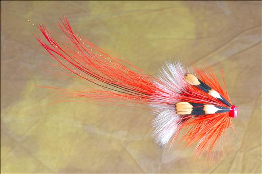 Pot Belly Pig Ally Shrimp Fly - Fishing Flies with Fish4Flies Europe